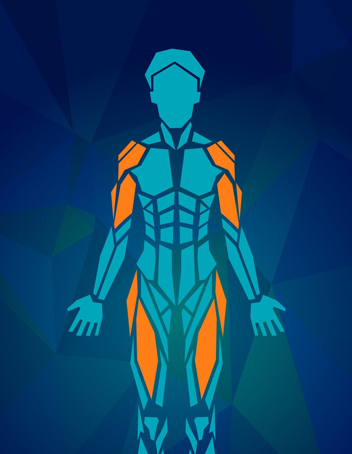 MRI Imaging Of Muscle Accepted For ARRT And ARMRIT mri-imaging-of-muscle-accepted-for-arrt-and-armrit