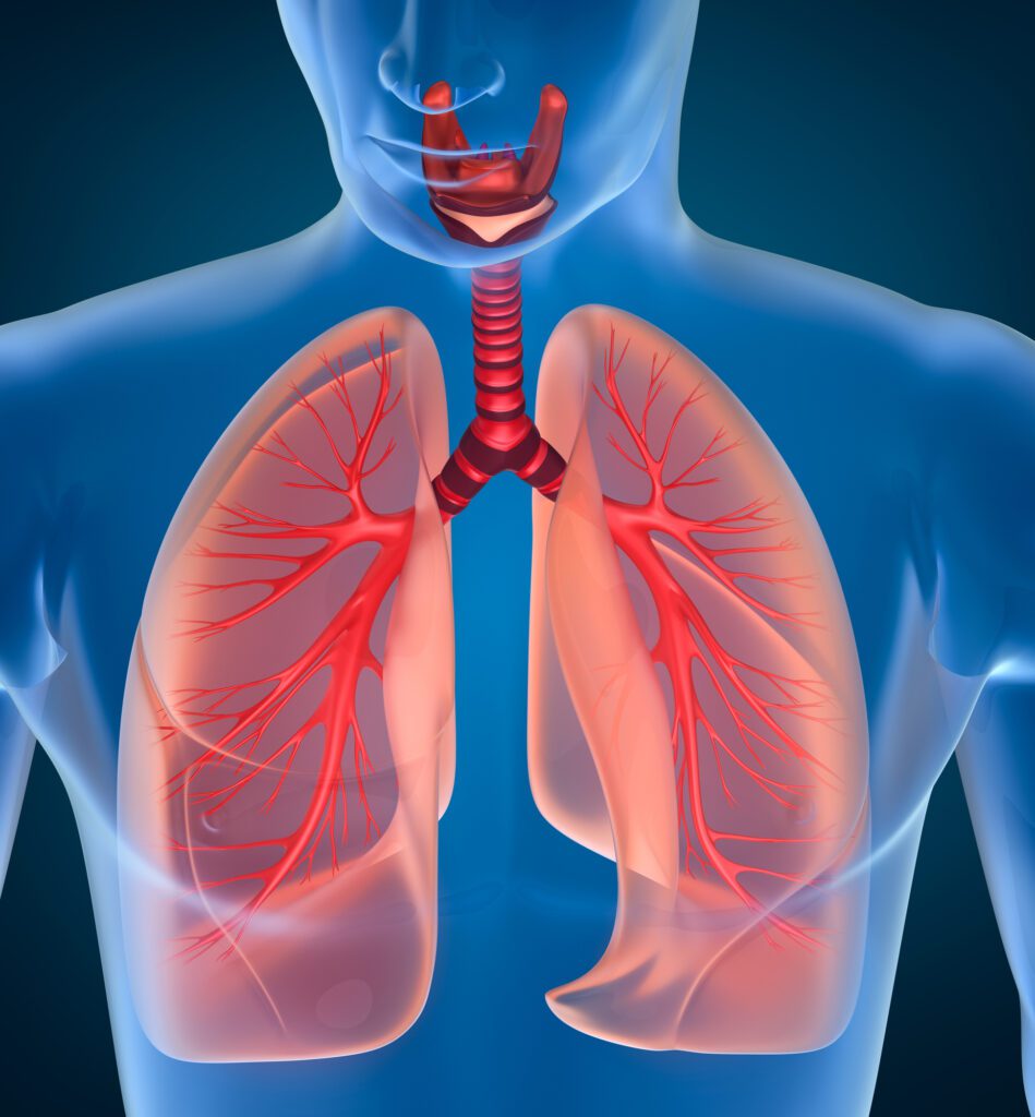 The Respiratory System - Get Your CEU