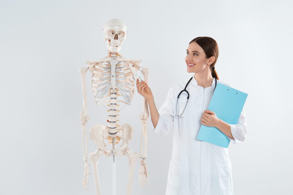 The Appendicular Skeleton Get Your Ceu