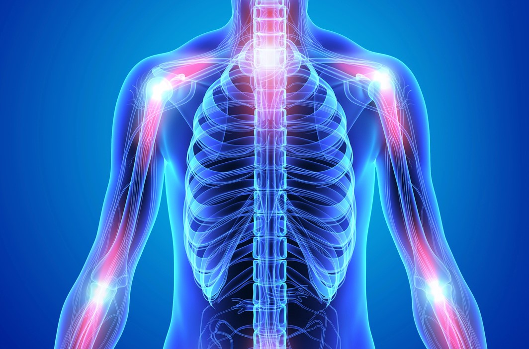 The Joints of the Body - Get Your CEU